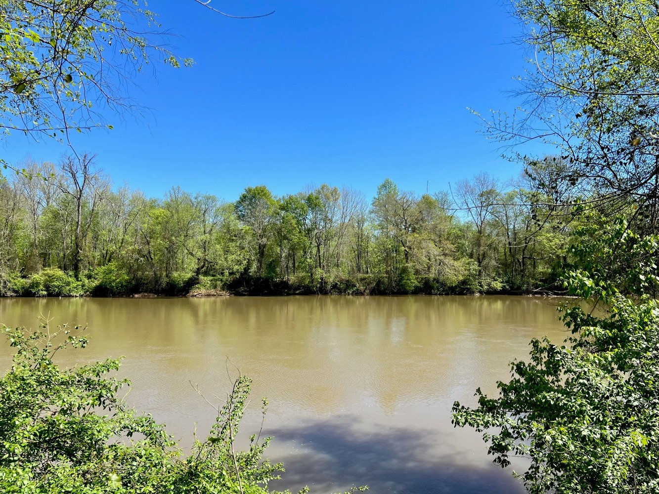 ±86 Acres - Gaffney Ferry Rd - Huff Creek Properties