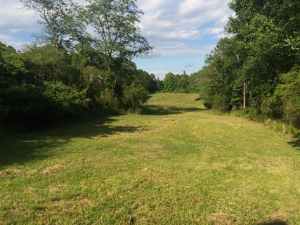 ±150.25 Acres - Holiday Dam Road Estate - Huff Creek Properties