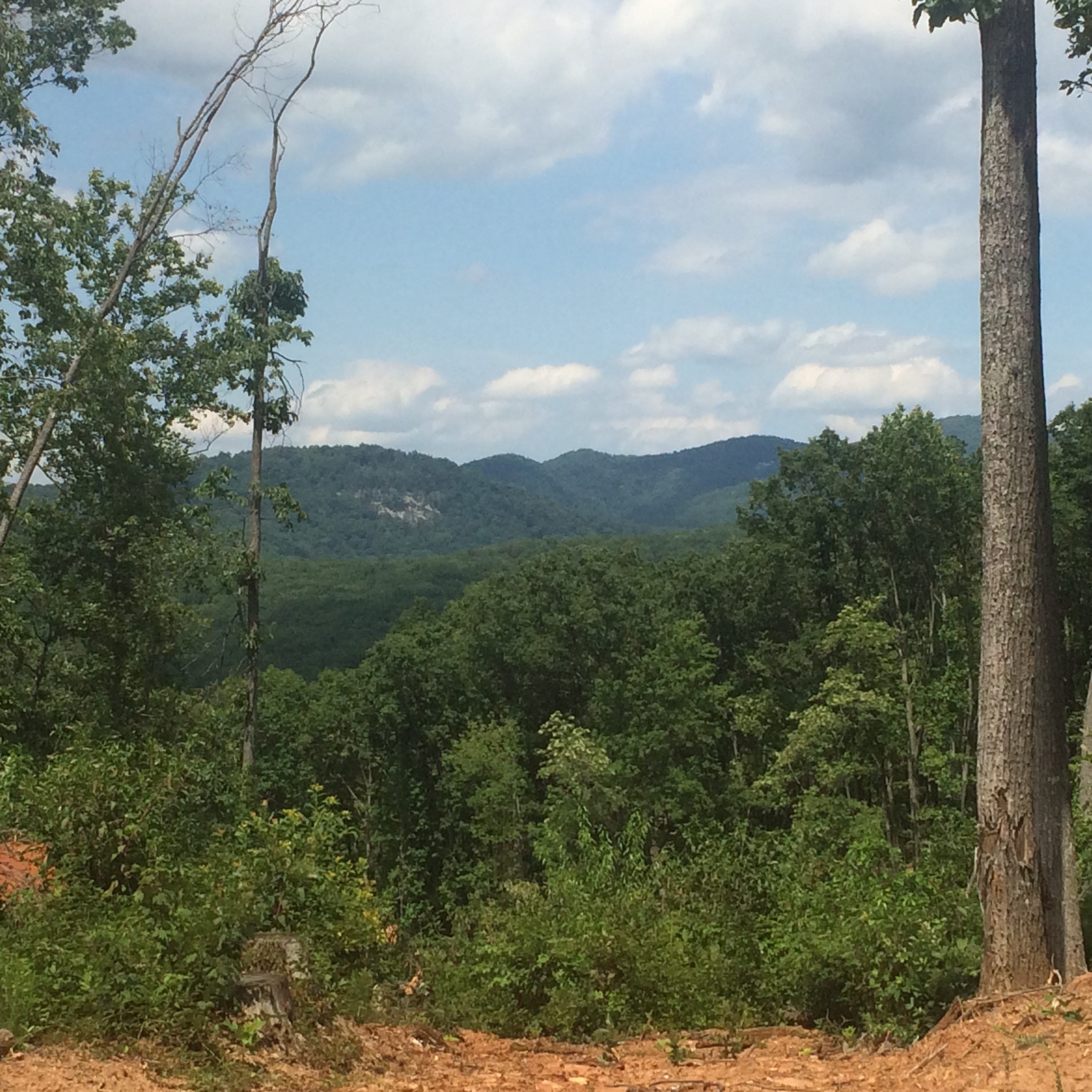 +-255.20 Acres - Chestnut Mountain - Huff Creek Properties