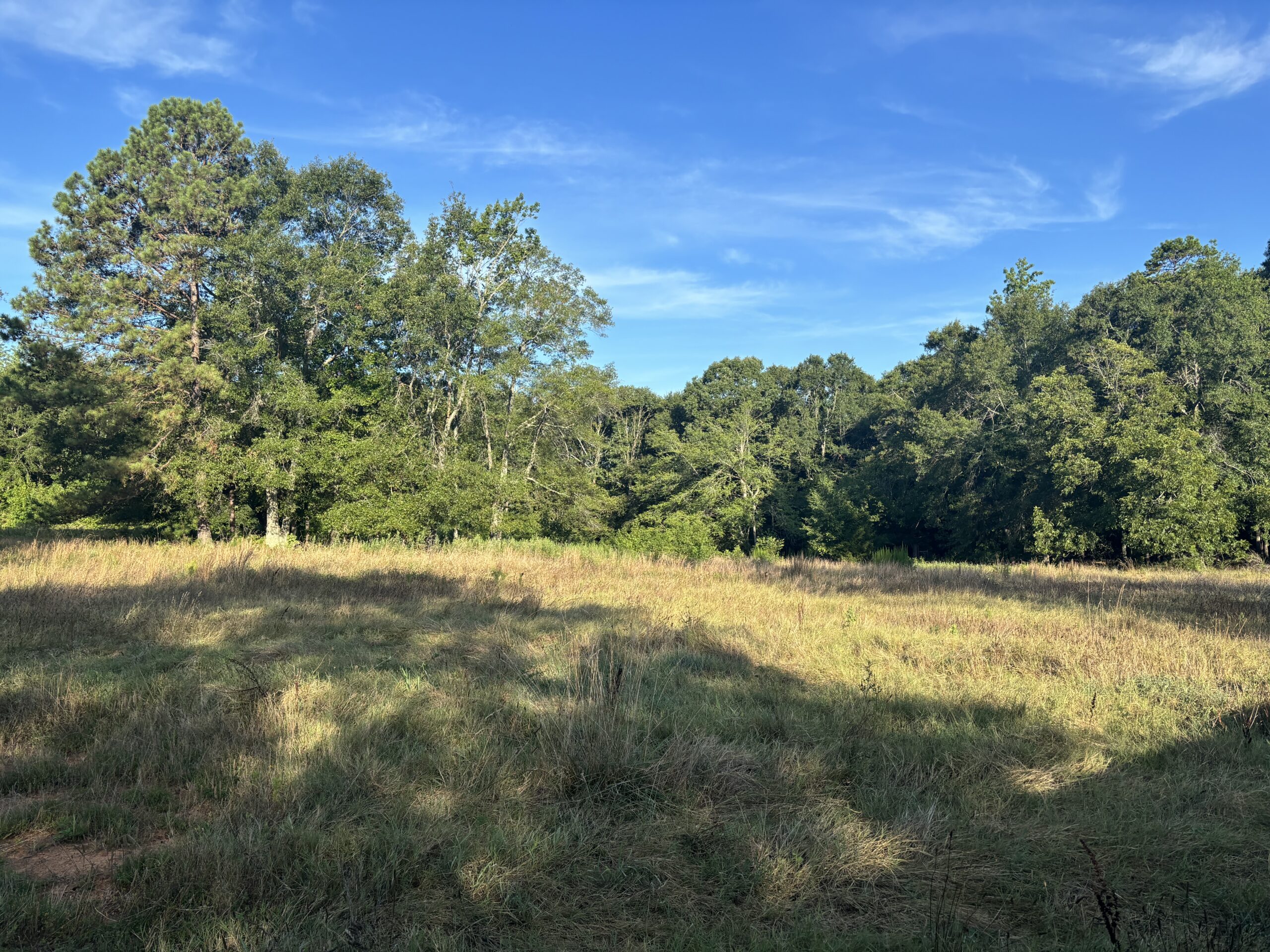 ±50.7 Acres | Holiday Dam Road Tract | Belton, SC - Huff Creek Properties